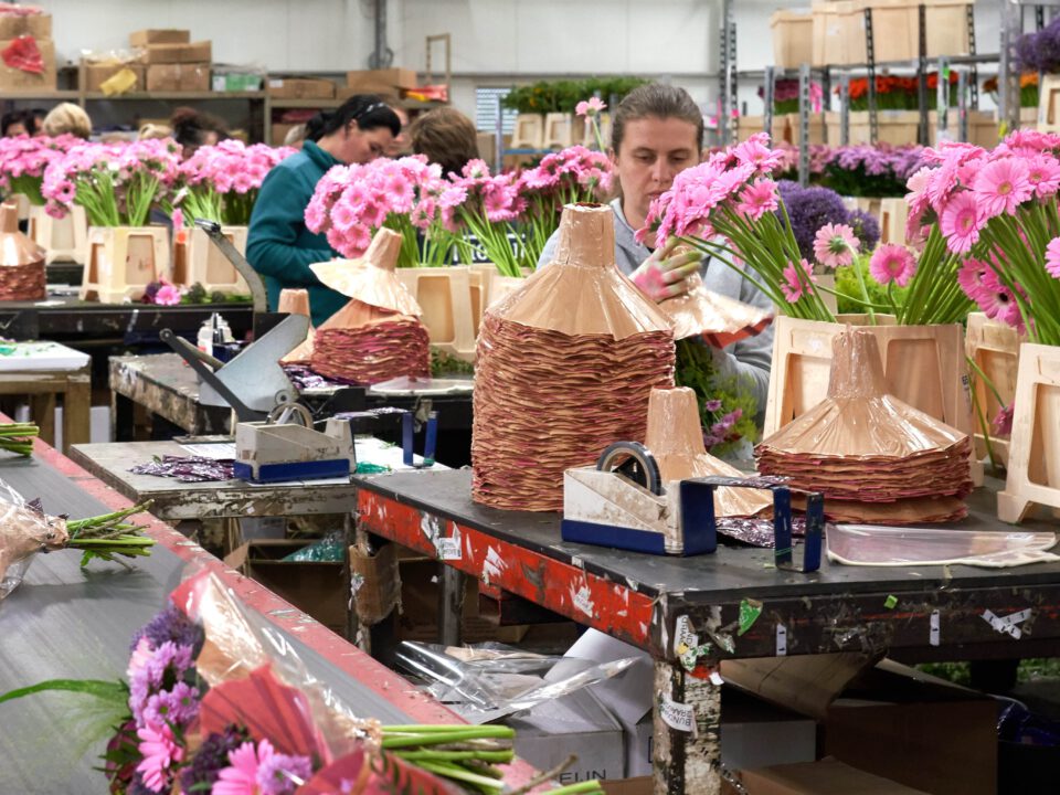 Productie & Verkoop Bloemboeketten | Hoorn Bloom Masters Hoorn Bloommasters
