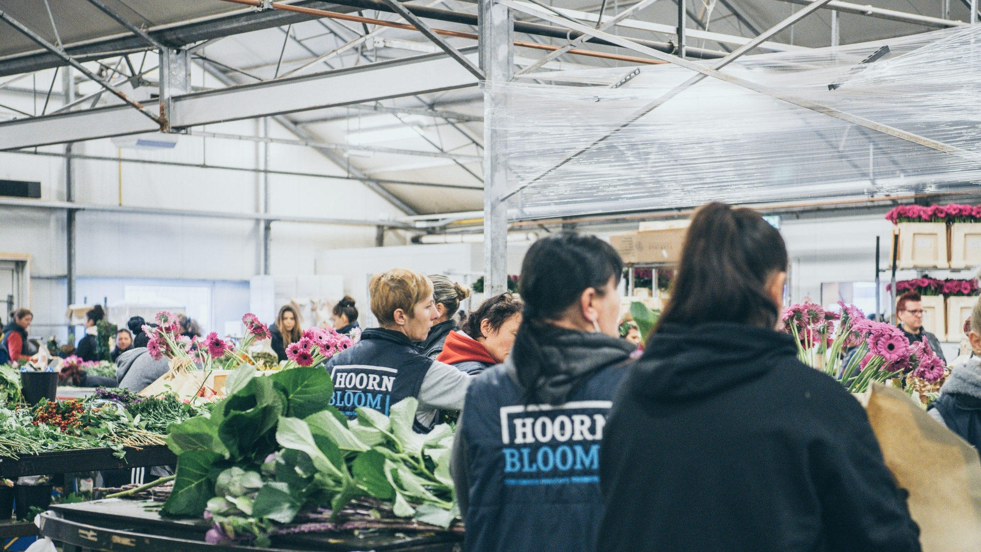 Production & Sales Flower bouquets | Hoorn Bloom Masters