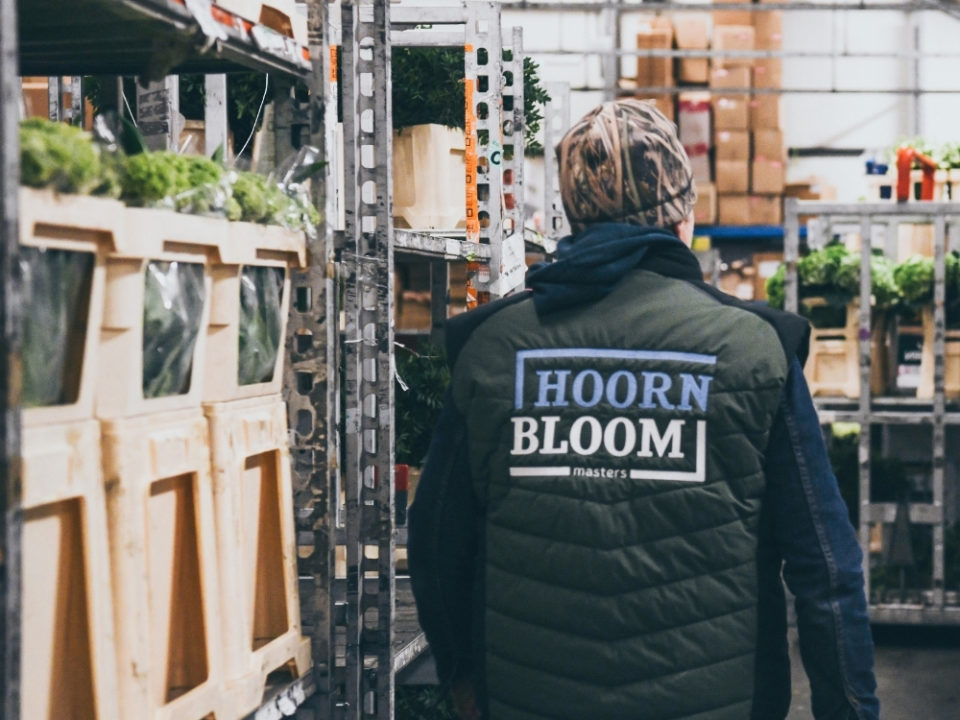 Contact - Hoorn Bloommasters Hoorn Bloommasters