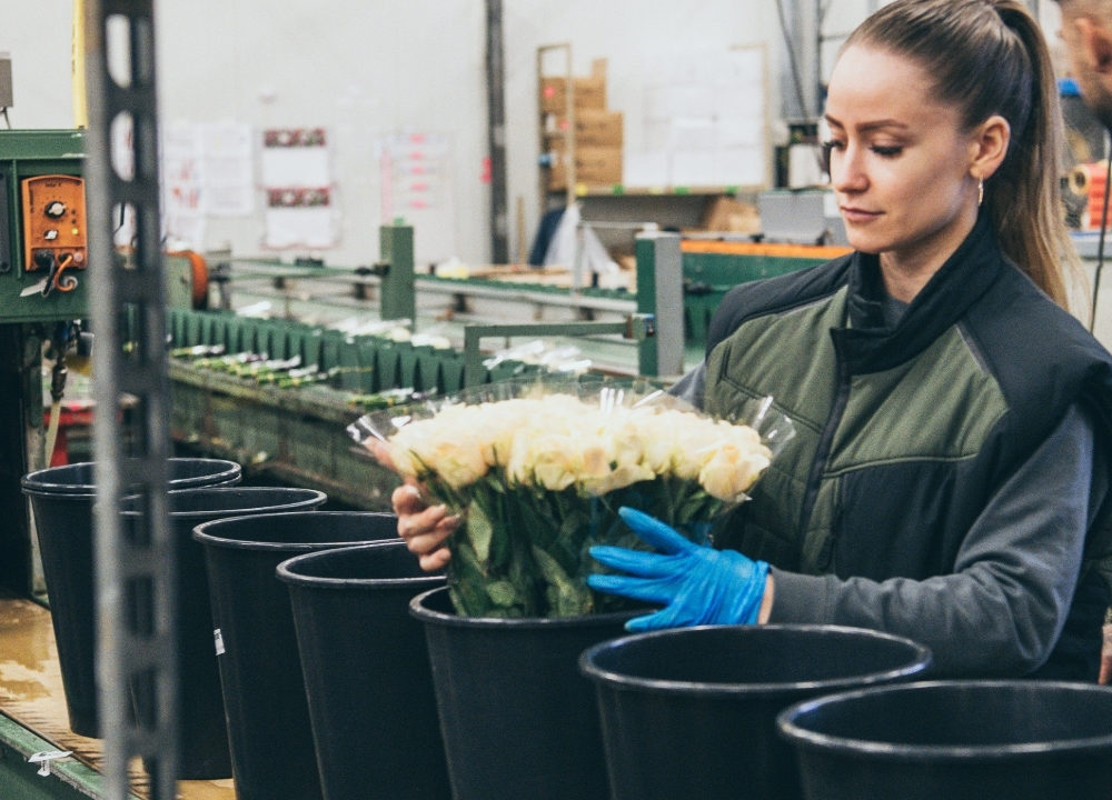 Production & Sales Flower bouquets | Hoorn Bloom Masters