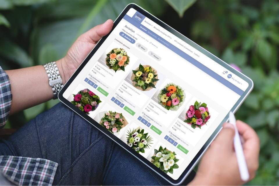 Continuity - Hoorn Bloommasters Hoorn Bloommasters