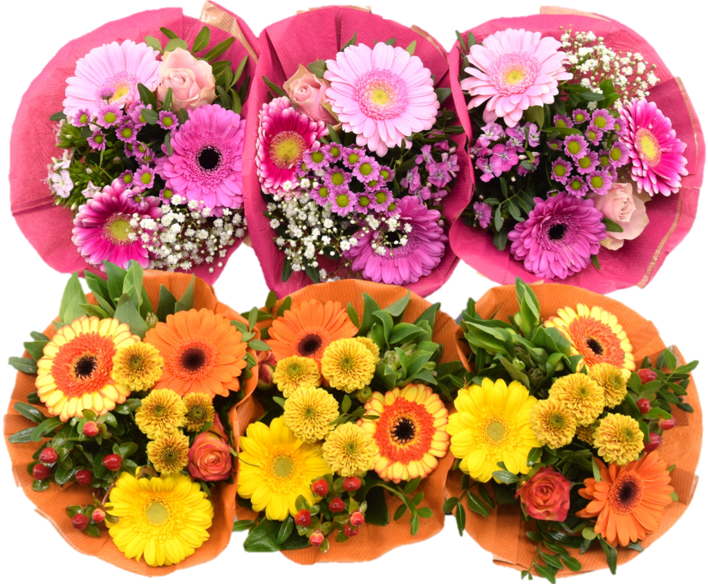 BQ Coffee S - Hoorn Bloommasters Hoorn Bloommasters